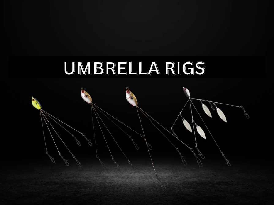 Umbrella Rigs (Alabama Rigs) for Schooling Bass
