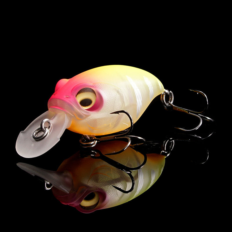 Megabass JDM SR-X Griffon Special Color IF Hachiro